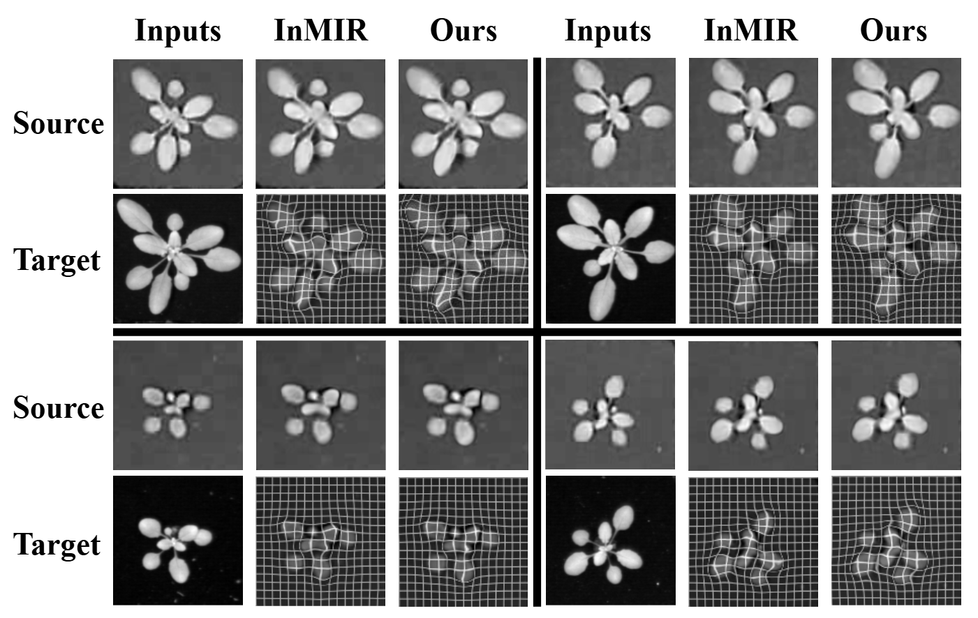[Research Paper] MambaReg: Mamba-Based Disentangled Convolutional Sparse Coding for Unsupervised ...